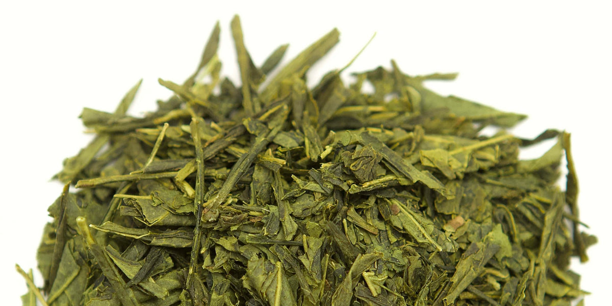 Bancha Green Tea – Short and Stout Tea